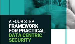 A Four Step Framework For Practical Data Centric Security